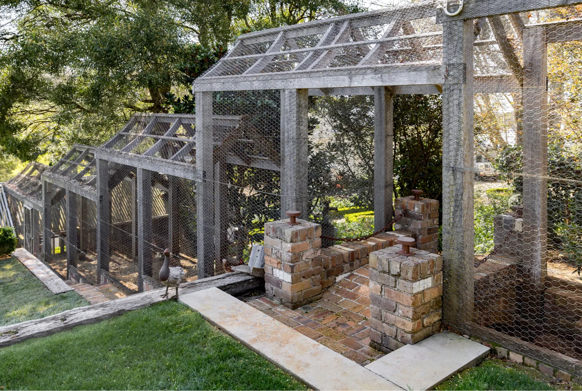 Pepper Tree Creek | Glass House and Chicken Run - Jarrod Olsen & Co